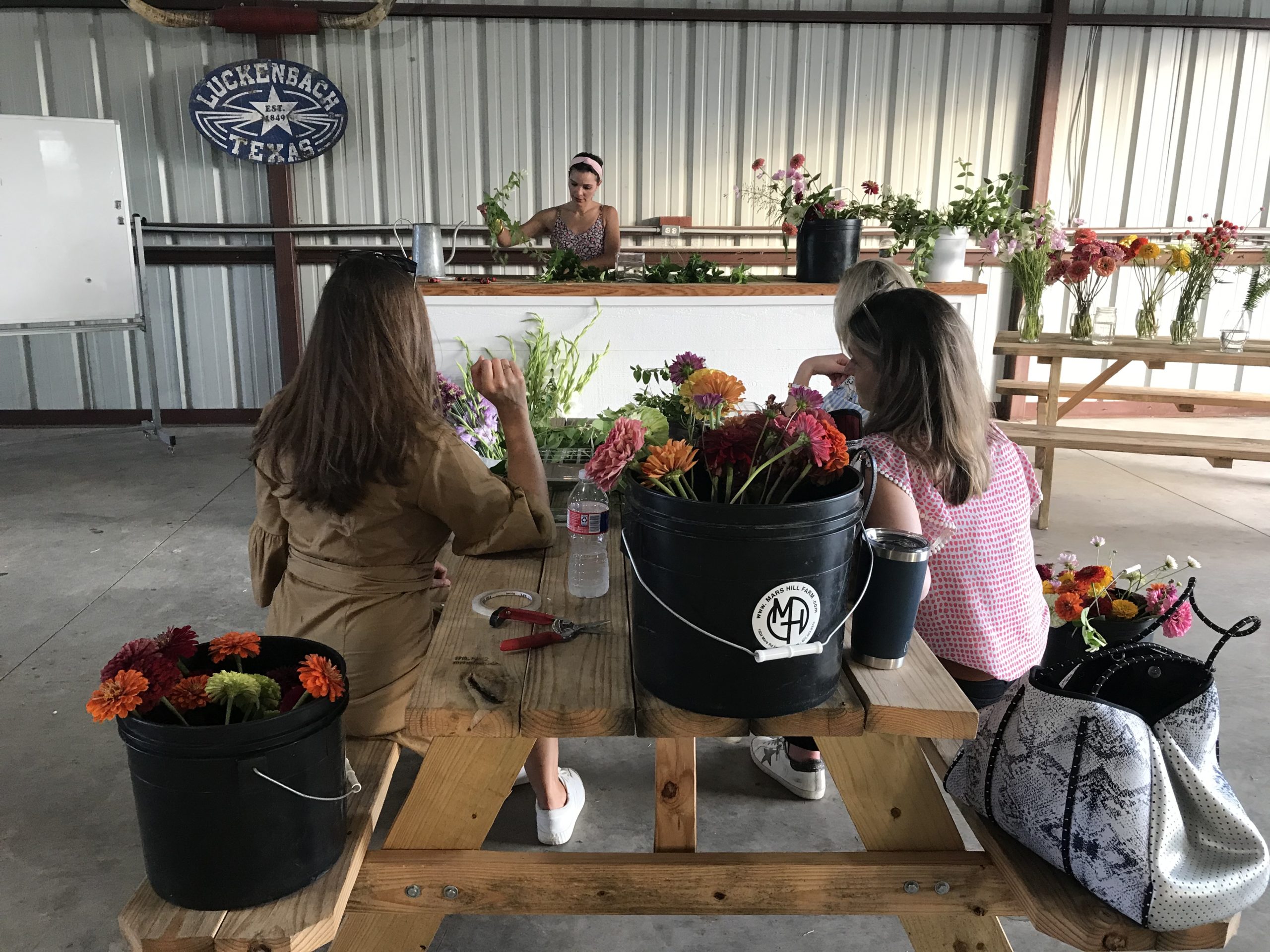 Embrace the Season with Mars Hill Farm - Lolli and Me